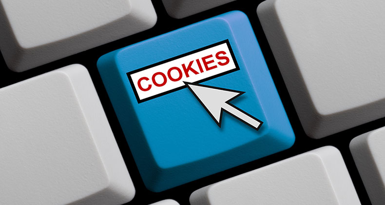 Adiós cookies de terceros, hola marketing de contenidos - Cepymenews