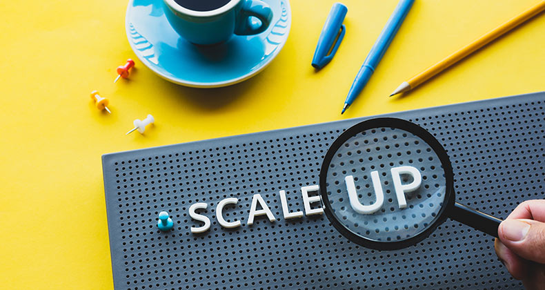 De startup a scaleup: un paso clave para el desarrollo empresarial ...